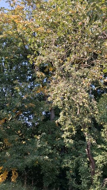 Лето прошло не зря.)