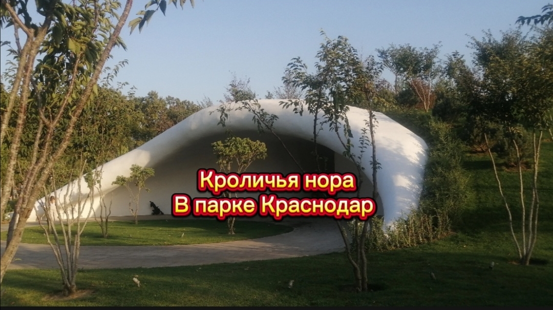 Кроличья нора в парке Галицкого, Краснодар