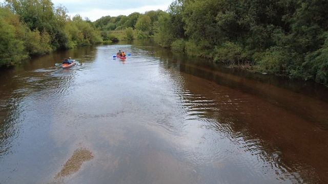 Река Пежма, август 2025.