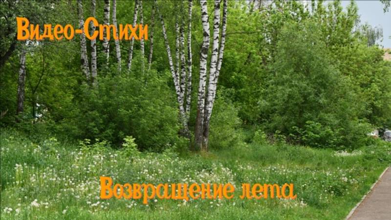 Видео-Стихи: Прощание с летом 2025