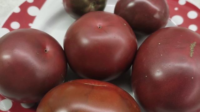 Томат Тульский черный включаю в список фаворитов