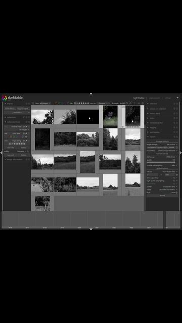"Шиповник" постобработка фото 5 - почему шиповник