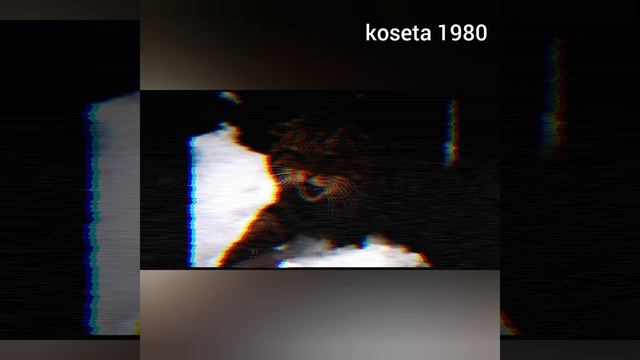 Полная арка хоррор котов
