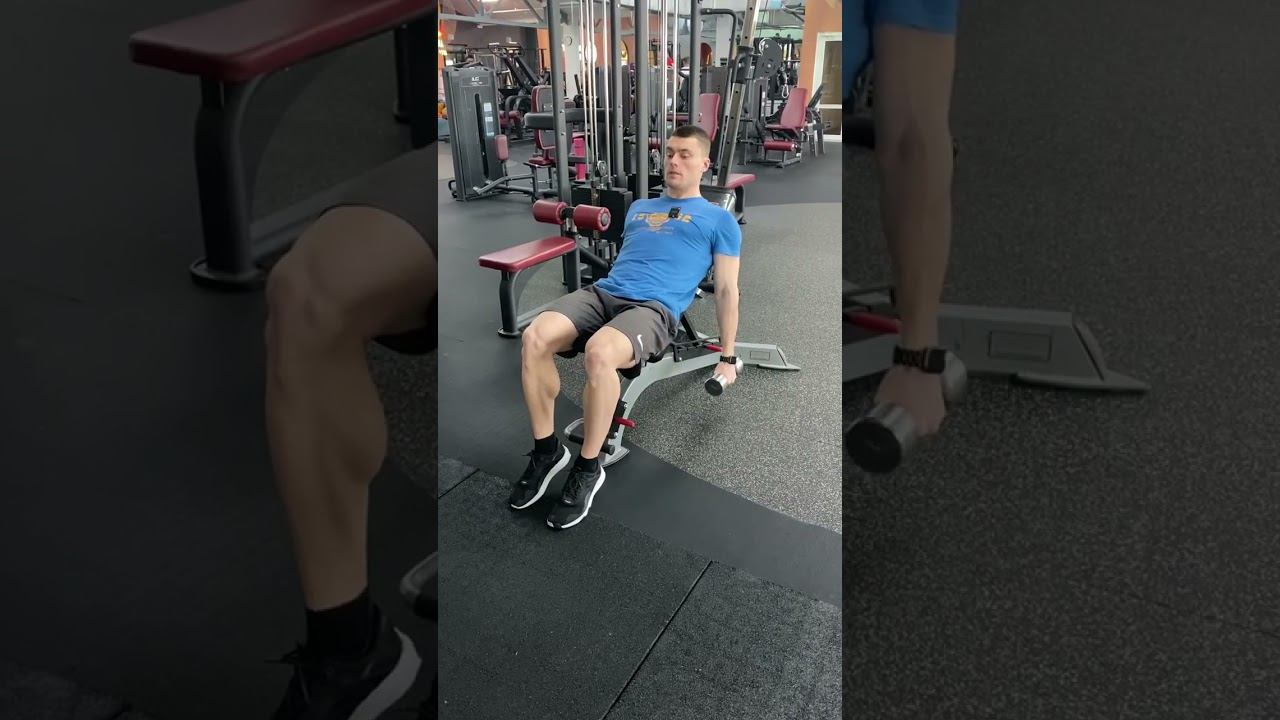 Сгибание рук с гантелями полулежа