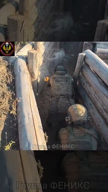 Тренировка бойцов Группы Феникс. Сегодня на тренировке — завтра в деле.