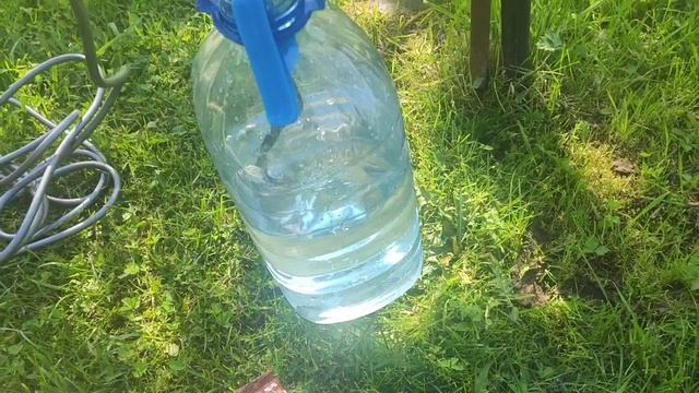 Виноград в Калужской обл. Аккумуляторный опрыскиватель. Обработка монофосфатом калия.