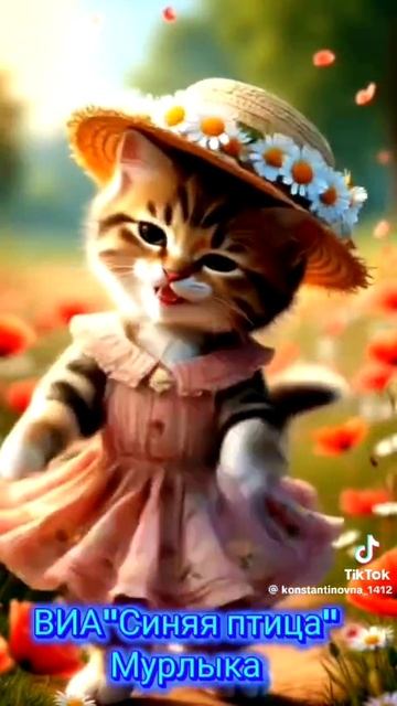 Кит кис Мяу🐱