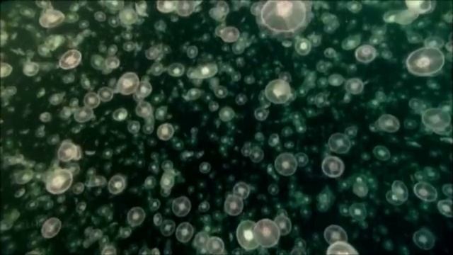 Что было, то прошло