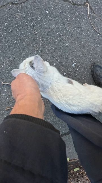 ЛЮДОЕДУШКА