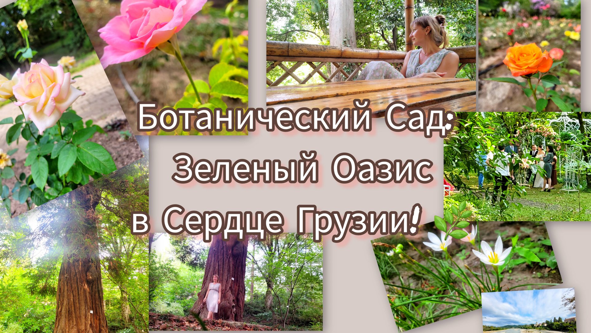 Ботанический Сад: Зеленый Оазис в Сердце Грузии! 🌿