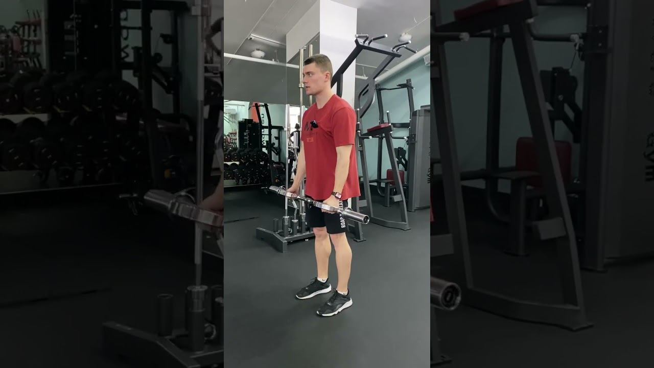 Сгибание рук с Т-грифом