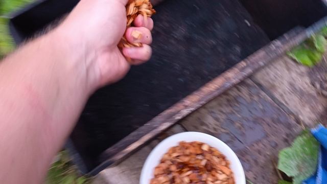 Мойва горячего копчения