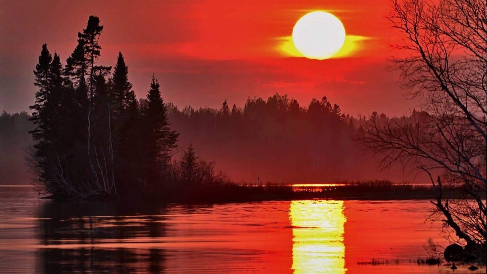 VIP_Сборник _Туманы войны -Ник Жуков С Воробьёв А Баранов и Л. Кичигина . г Ангел - Online. Муз гр