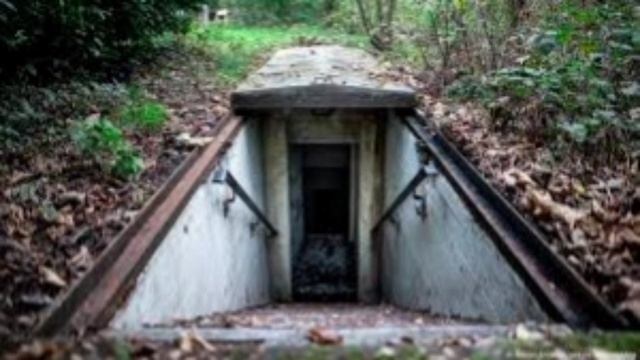 Глава 7. Первая работа.