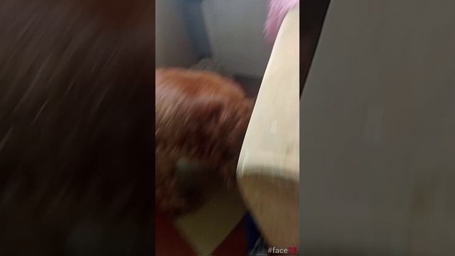 вредно блог 18