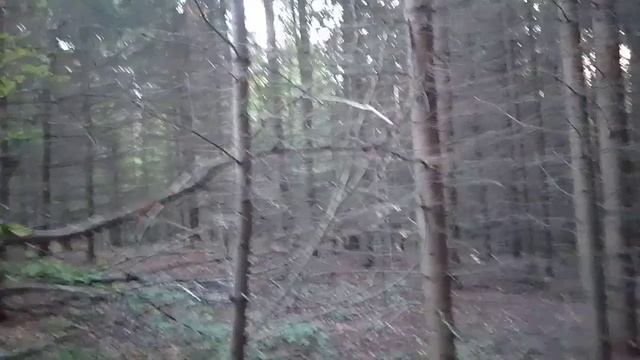 Охота. Исследуем новые места