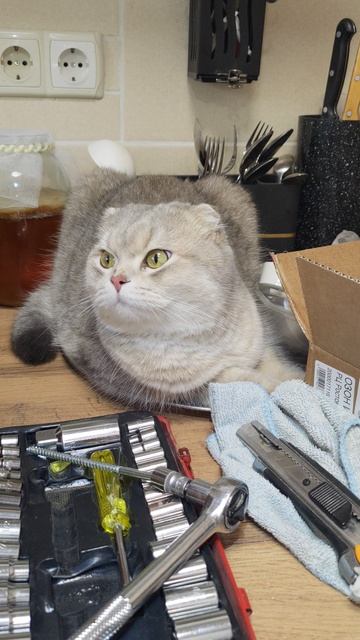 Микис помощник.