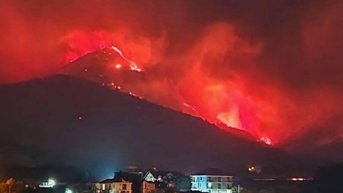Пожар из-за БПЛА в лесах под Геленджиком.