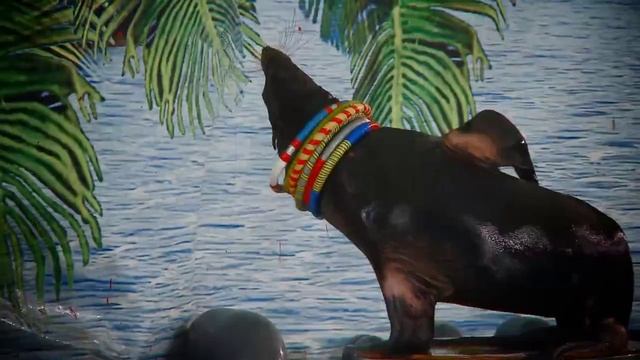 Дельфинарий в Братске