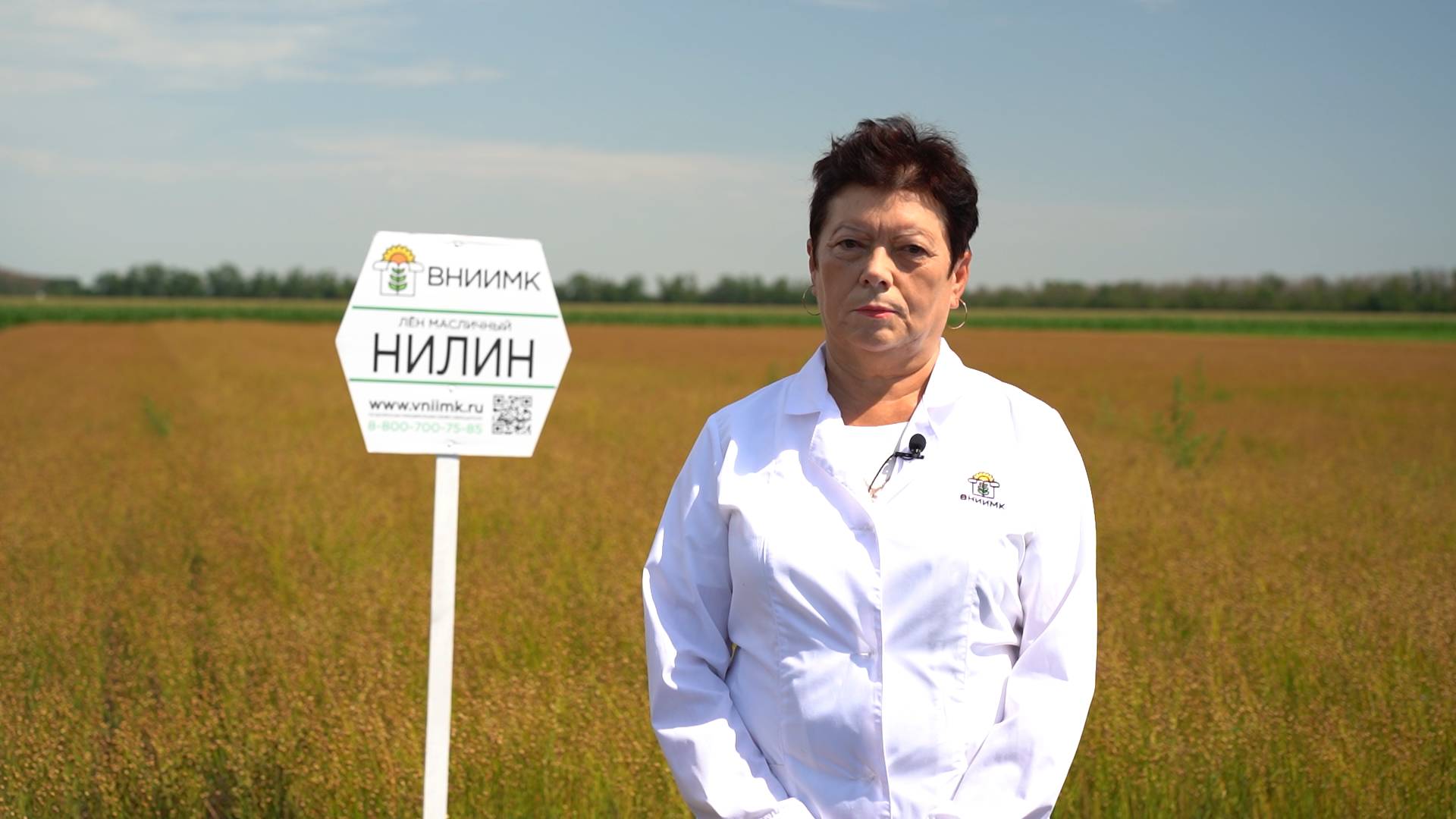 Нилин: Лен масличный
