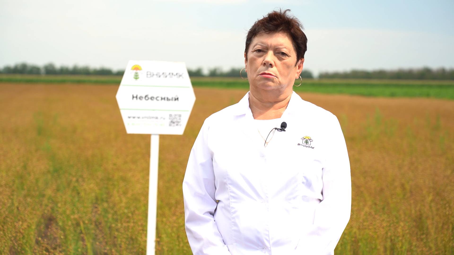 Небесный: Лен масличный