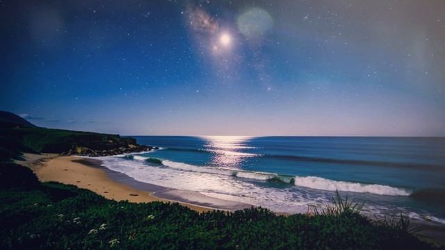 Песнь леса. Музыка для души