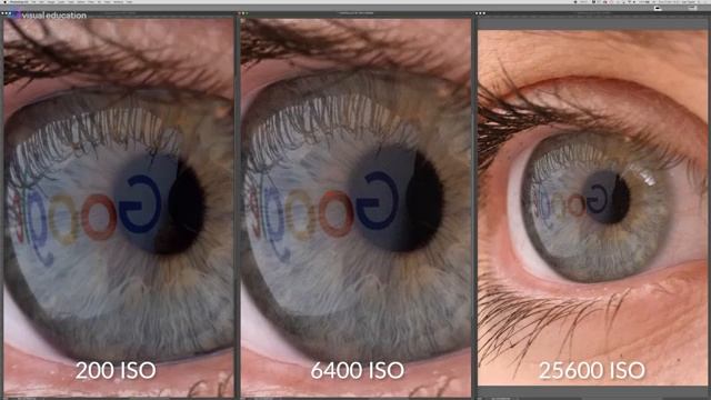 Полный курс фотографии Карла Тейлора. 09. Какое разрешение камеры для Вас лучше всего подходит