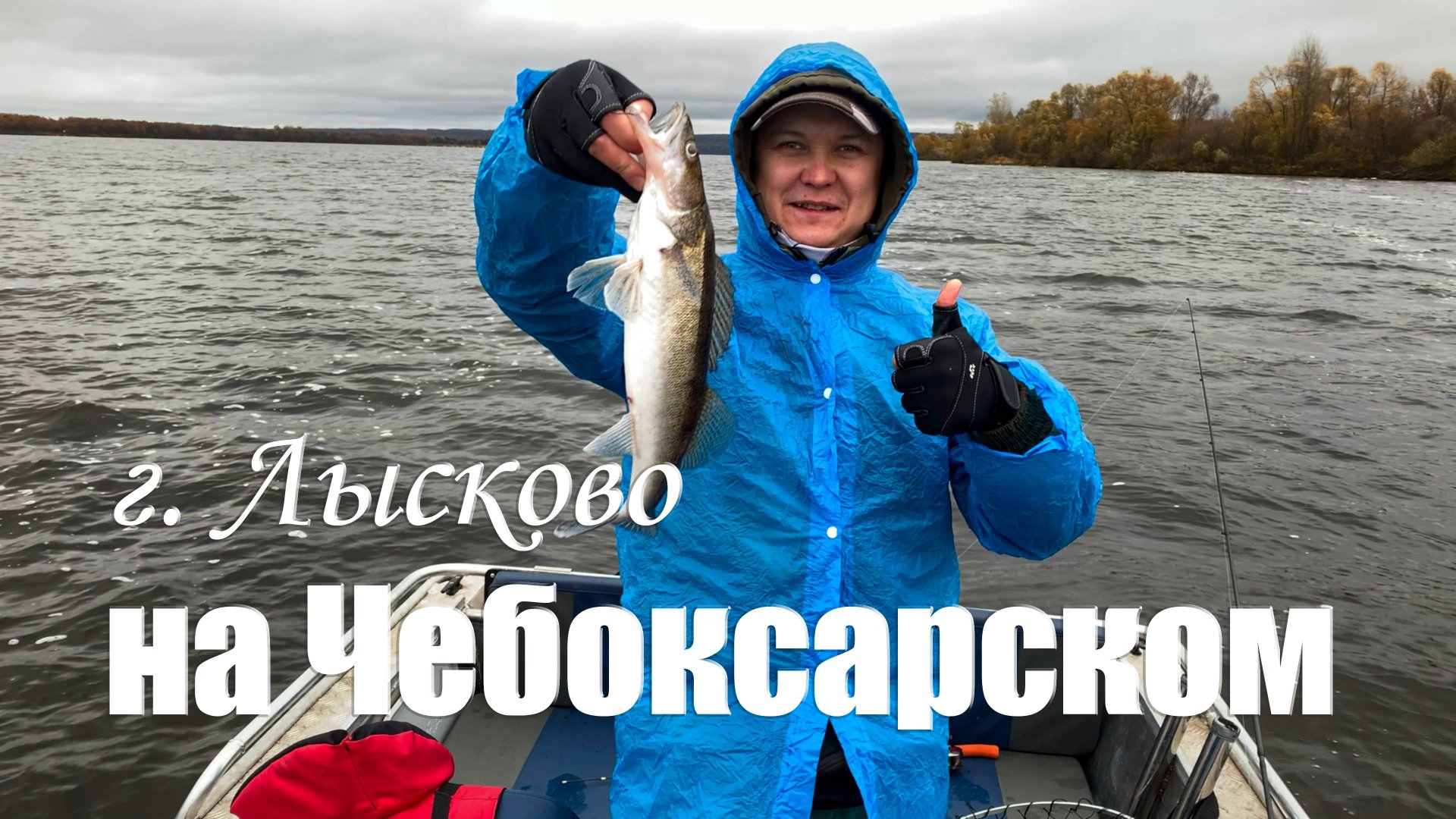 [2024] Судак Щука в октябре  Лысково Просек  Нижегородская область