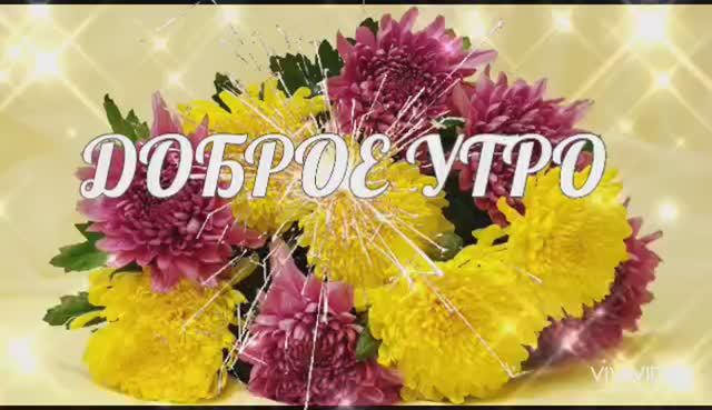 ДОБРОЕ УТРО. С ДНЁМ ХРИЗАНТЕМ!!!