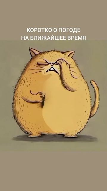 погода полгода