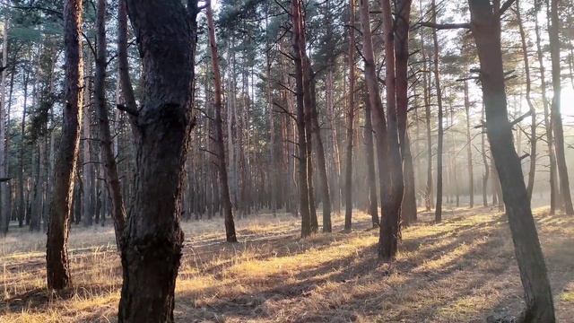 Павел Ружицкий На закате.