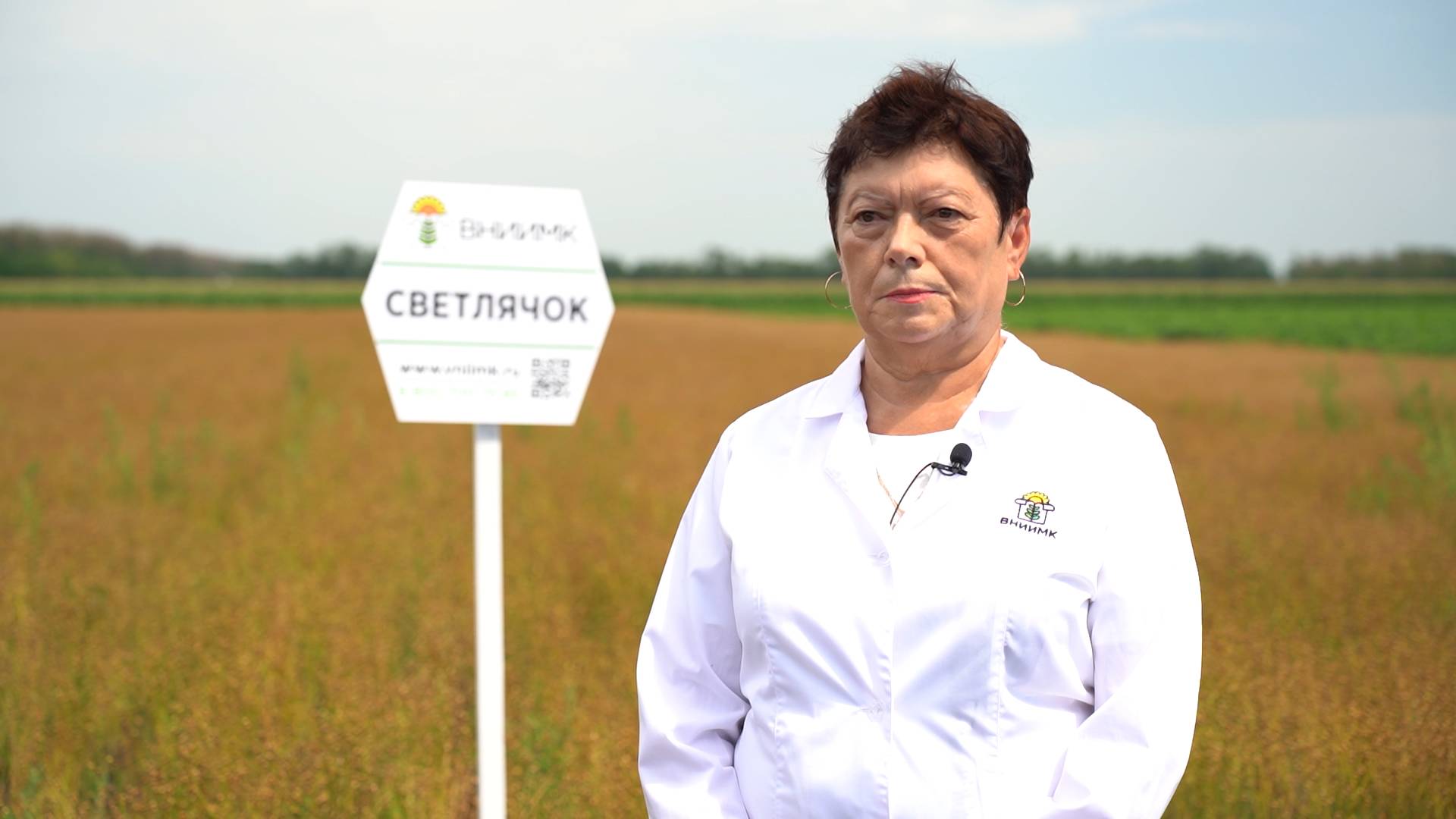 Светлячок: Лен масличный