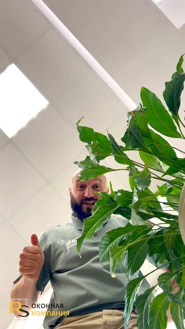 Осень - самое время, чтобы решить все оконные вопросы!