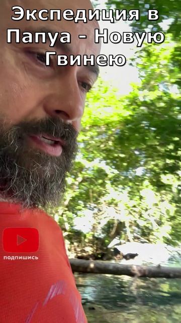 277. Подхожу к ручью. Утро в д. Горенду