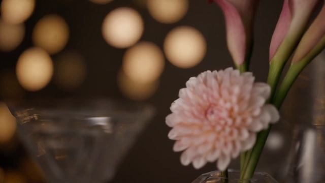 Презентация объектива Canon RF 85mm F1.2 L USM DS