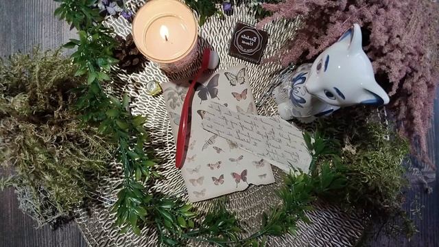 Котиков отвечает критикам и убийство ради серёжек!  А. Ф. Кошко!  Архивное дело №13