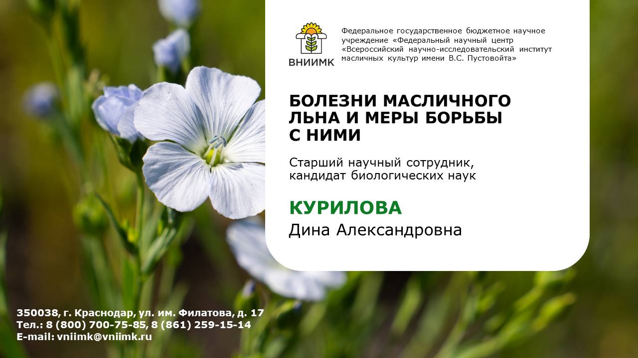 Болезни масличного льна и меры борьбы с ними