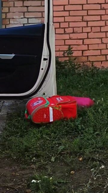 Подписывайся на мой telegram, ссылка в комментариях и в описании