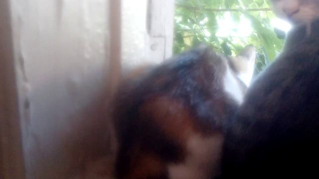 Мои Неуловимые мстители