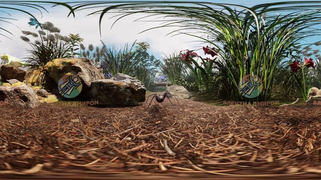 Мир насекомых Анонс VR 360