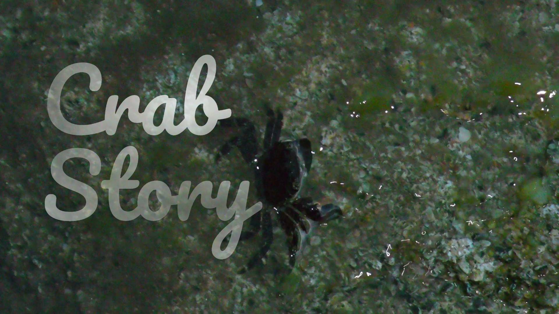 Crab story