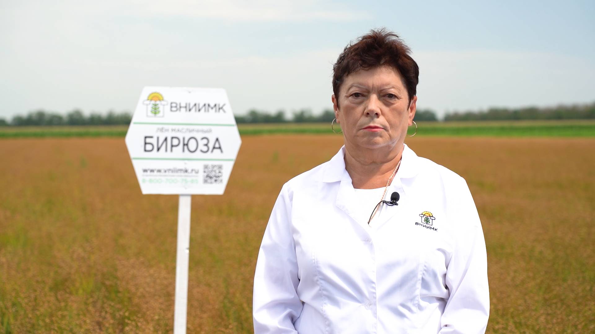 Бирюза: Лен масличный