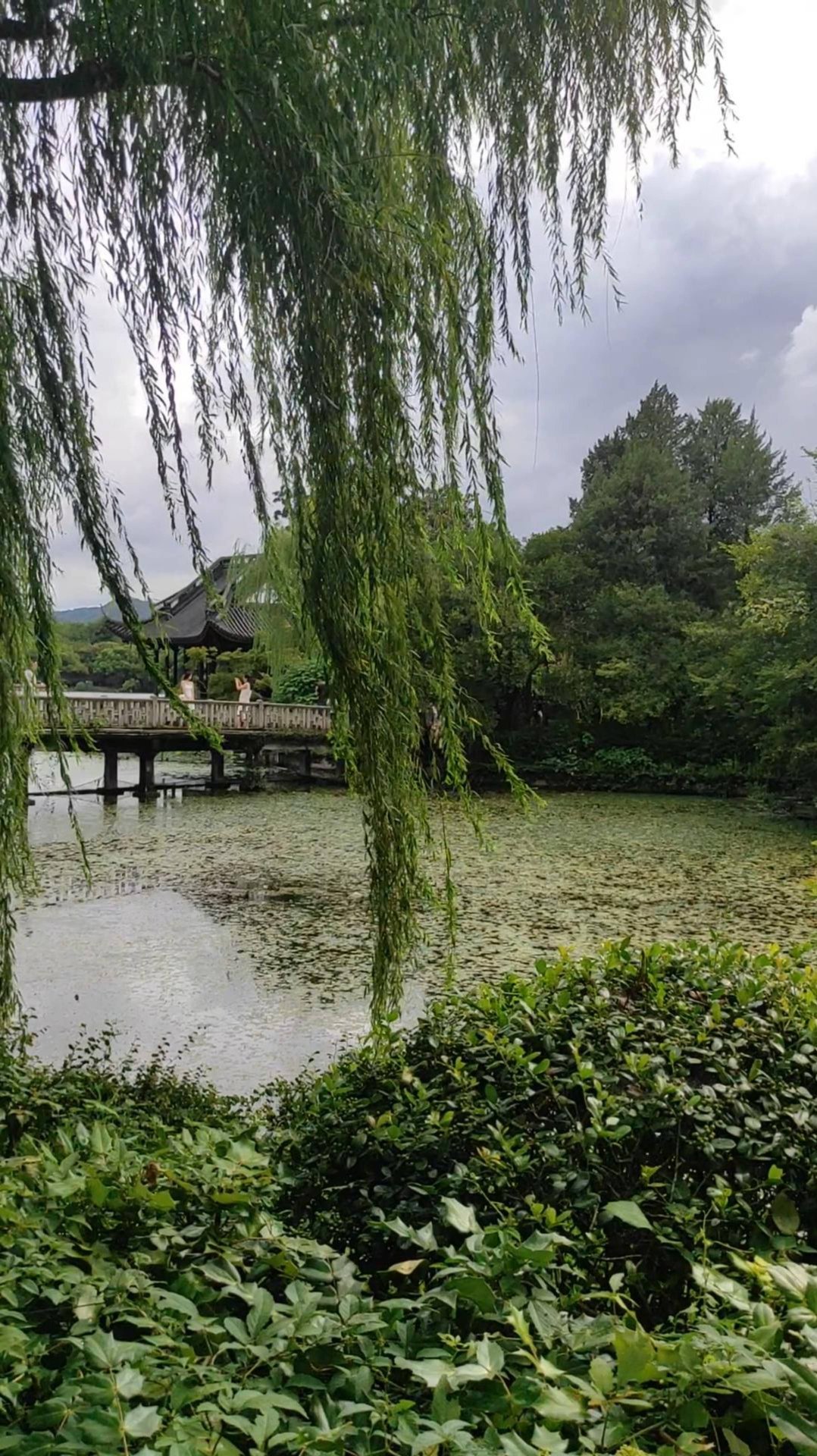 Пейзажи озера Сиху в Китае