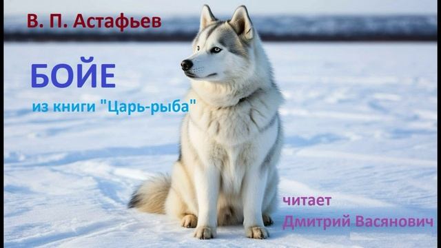 В. П. Астафьев. Бойе (из книги "Царь рыба"). Читает Дмитрий Васянович