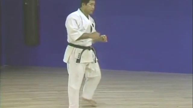 Удары ногами в годзю рю