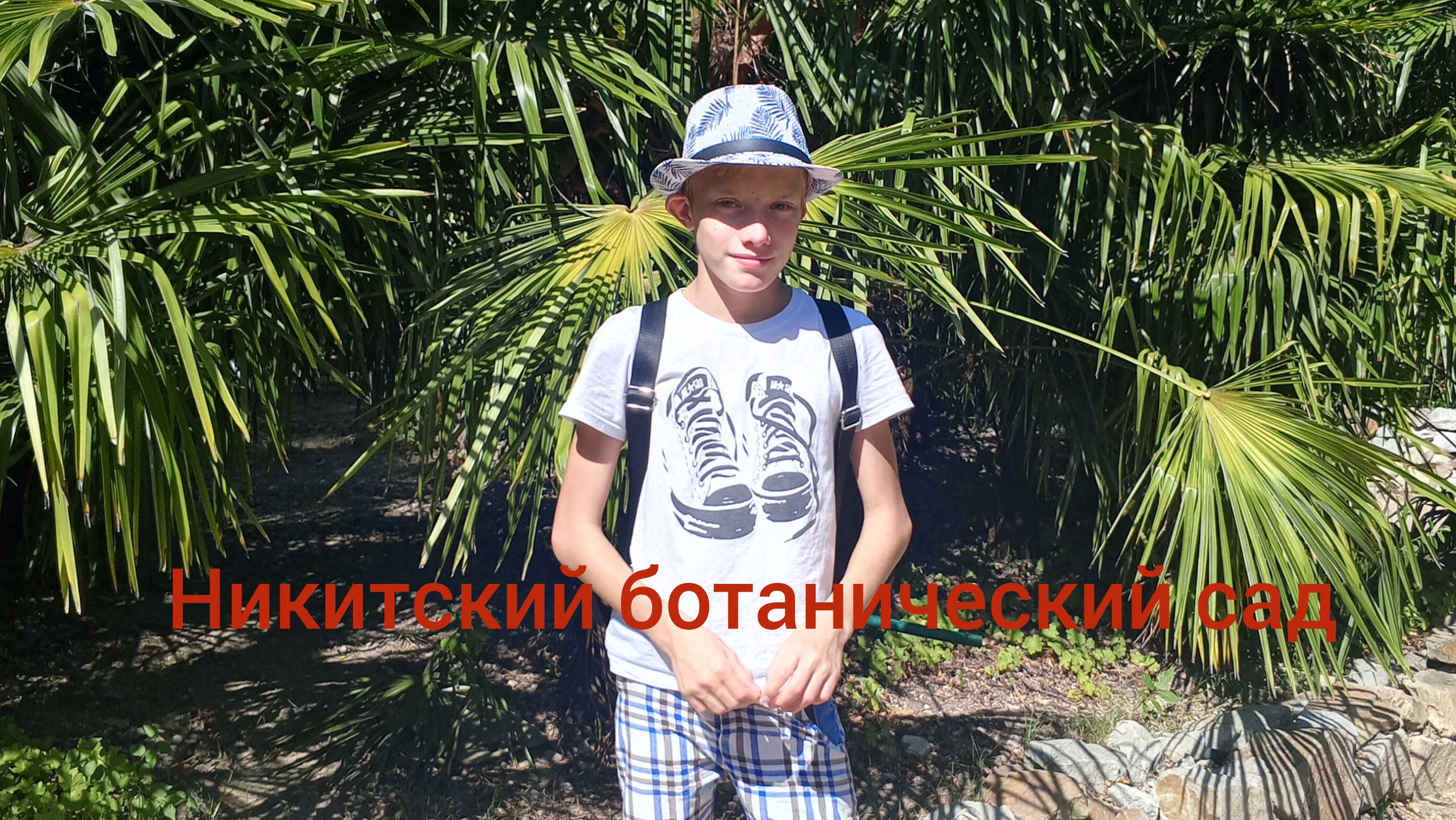 Не#стандартные путешествия. Никитский ботанический сад.