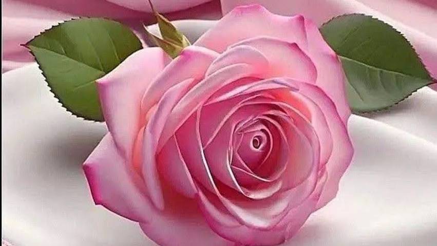 СП " А лето цвета ...3 " ИТОГИ ! Участник № 53.