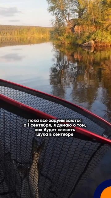 Все думают про школу, я думаю про щуку