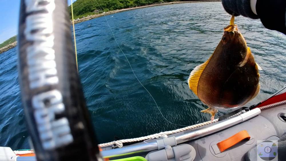 Магадан обкатка мотора Гладиатор 9.9  Рыбалка  и покатушки часть 2