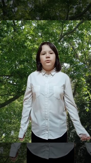 Митеничева Варвара, 12 лет. Н. М. Рубцов "Березы"